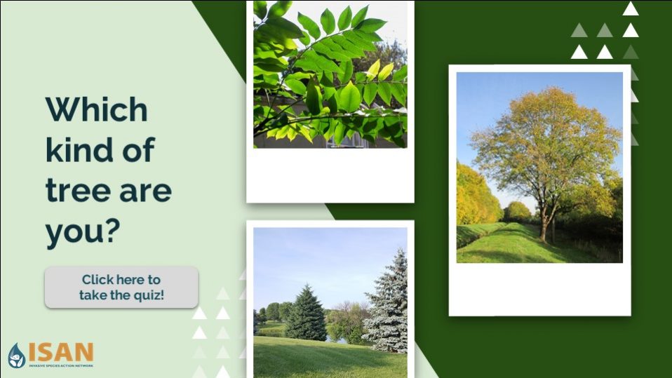 Arbor Day Online – StopAIS.org